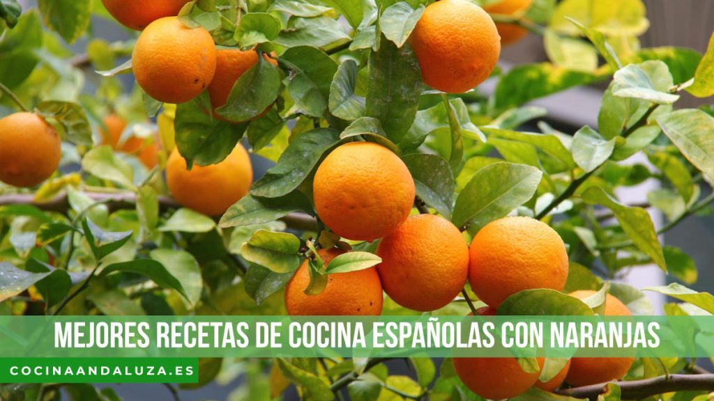 Mejores recetas de cocina españolas con naranjas
